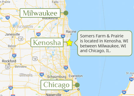 Somers Farm & Prairie